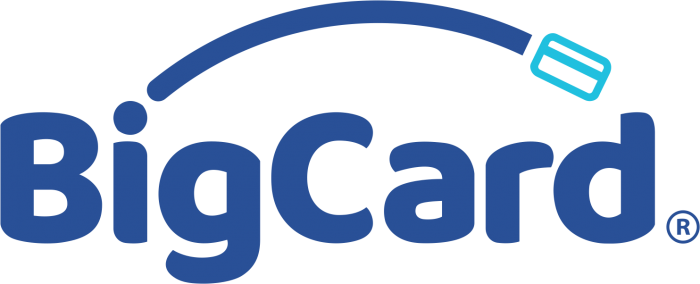 logo-bigcard - Software para Gestão da Qualidade | ISO 9001, PBQP-H e ...